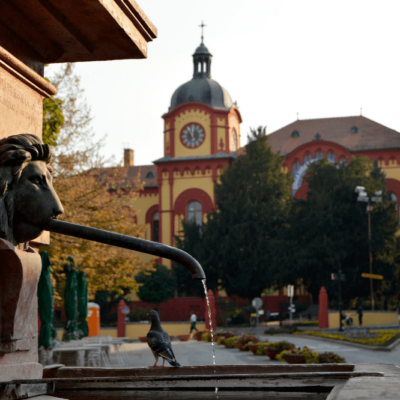 24-Day Balkans Rail Explorer | Magnificent Rail